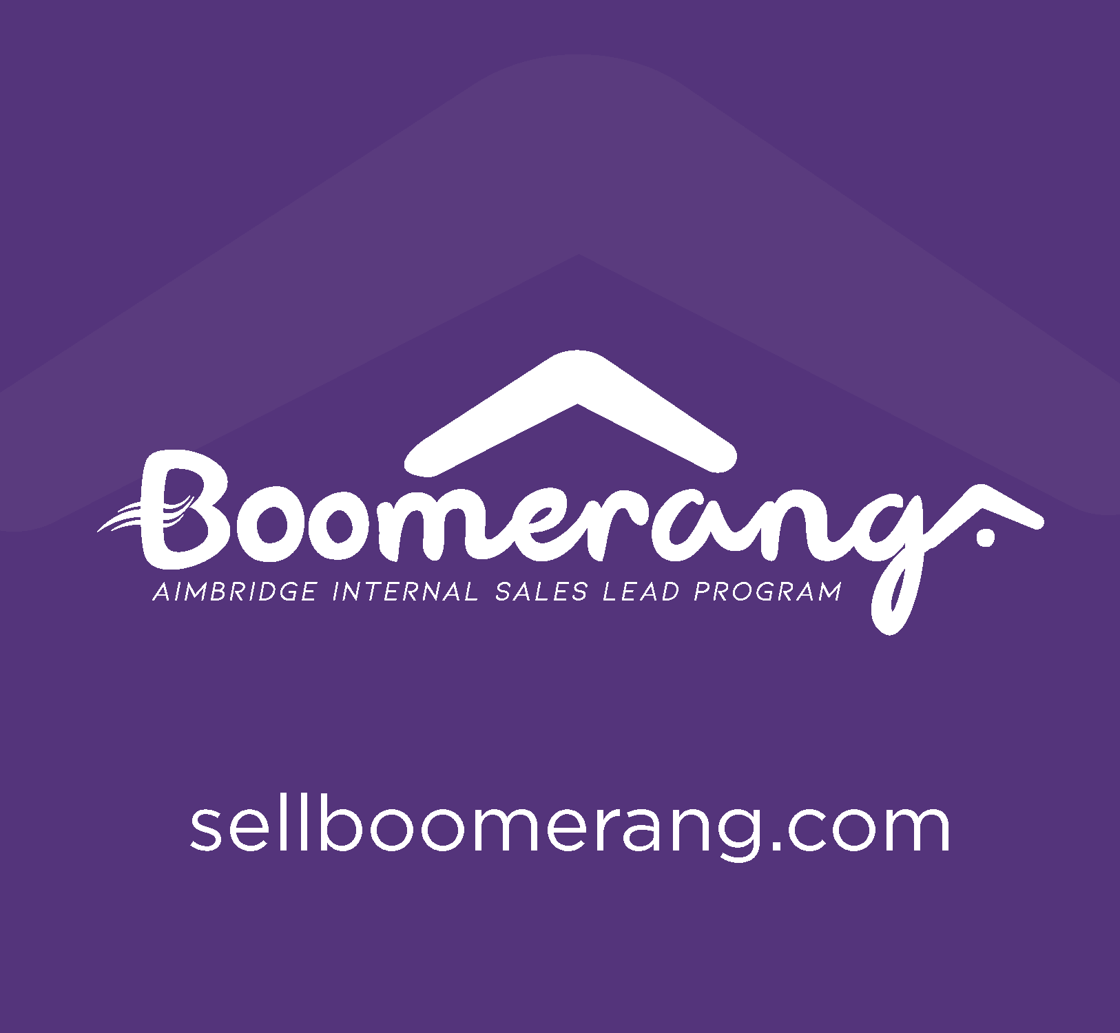 Boomerang Mouse Pad – Aimbridge Hospitality